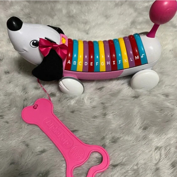 Leapfrog | Toys | Leapfrog Pull Along Abc Alpha Pup Pinkpurple | Poshmark